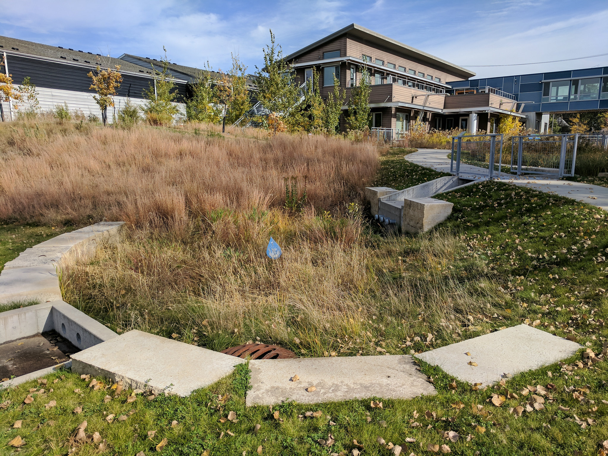 Visit Stormwater Park & Learning Center | MWMO